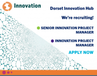 Innovation – Our Dorset ICS Innovation