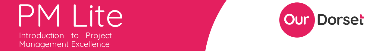 PM Lite - Transformation